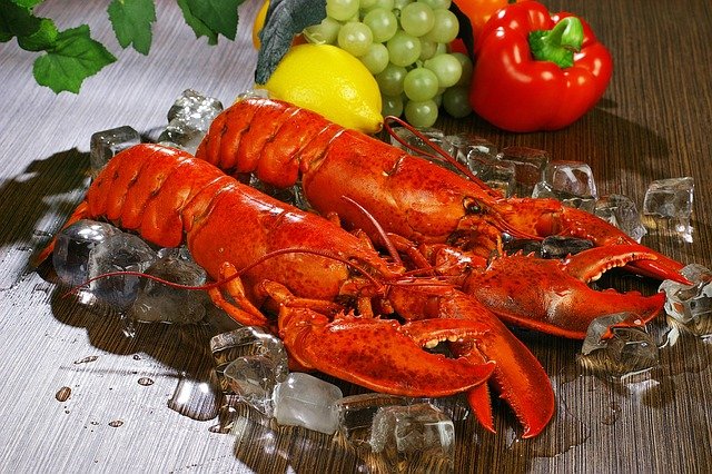 Fake Lobster Meat Grown In Labs Could One Day End Up In Supermarket
